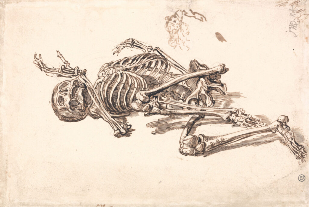 Draw and Build a Human Skeleton - The National Centre For Drawing