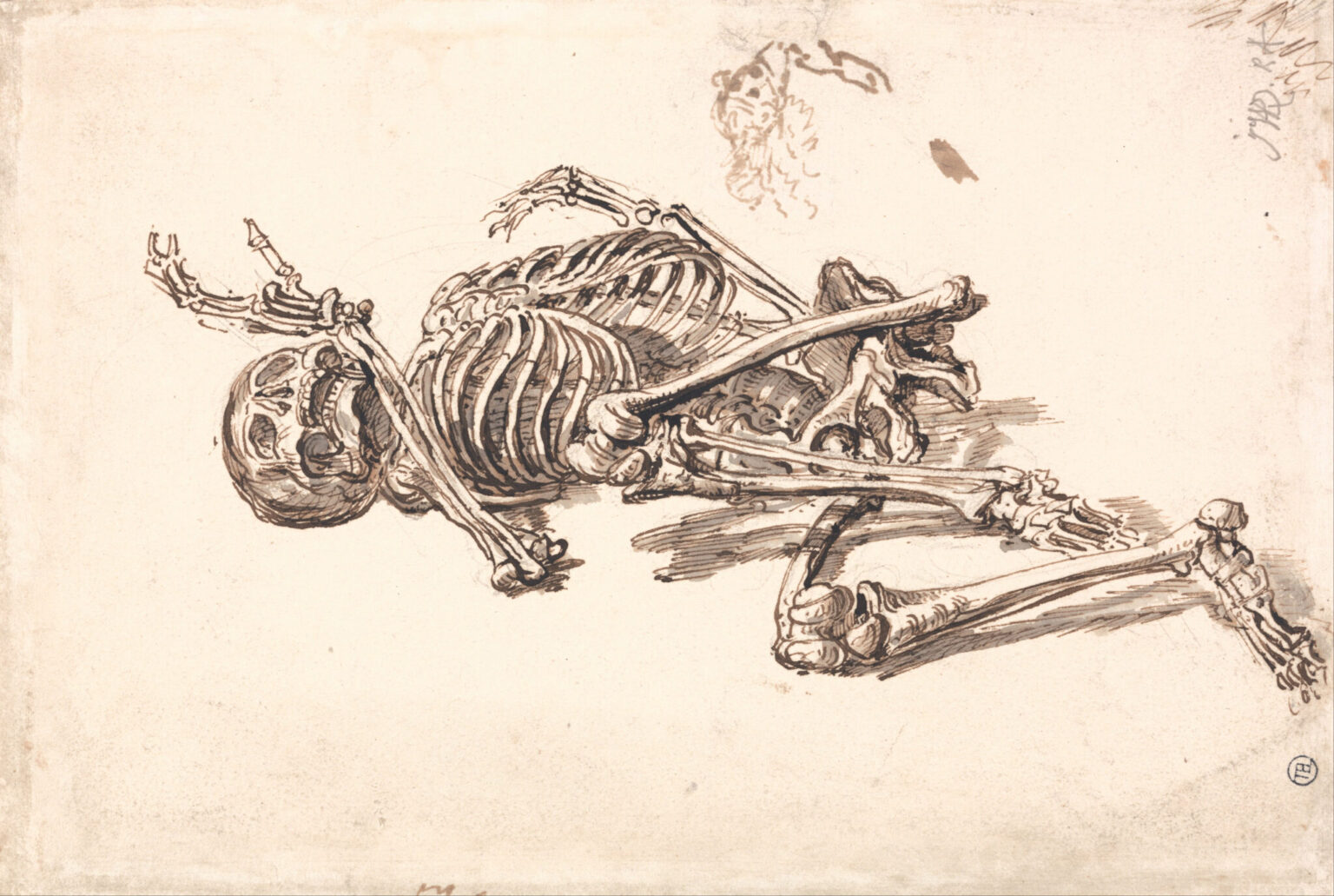 Draw and Build a Human Skeleton - The National Centre For Drawing