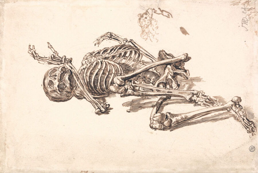 Draw and Build a Human Skeleton - The National Centre For Drawing