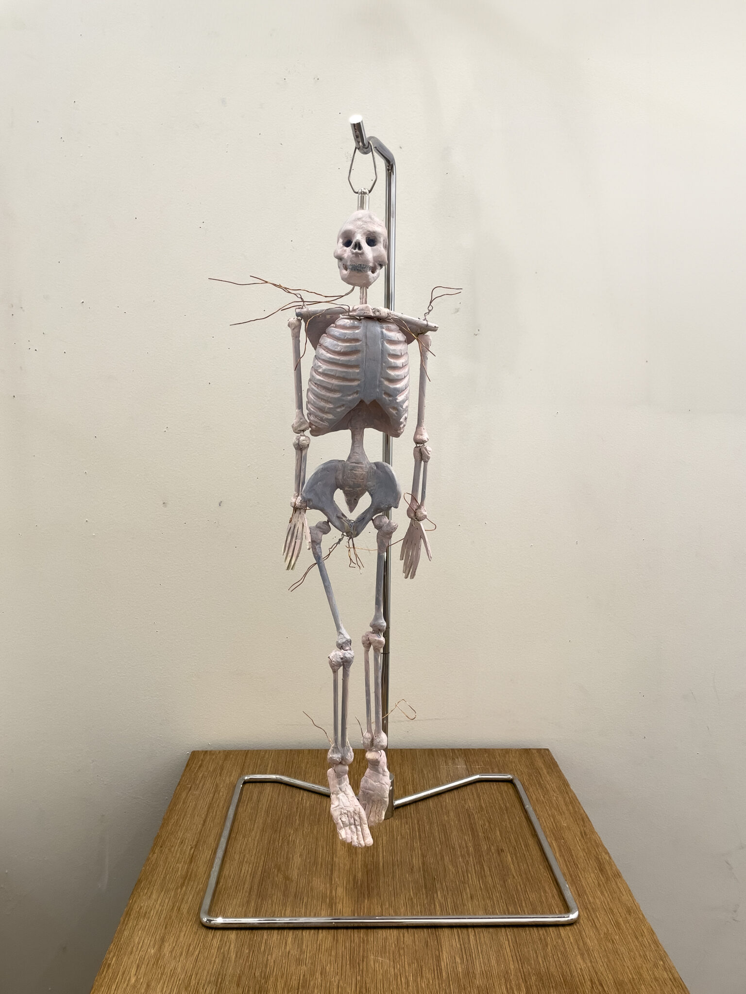 Draw and Build a Human Skeleton - The National Centre For Drawing