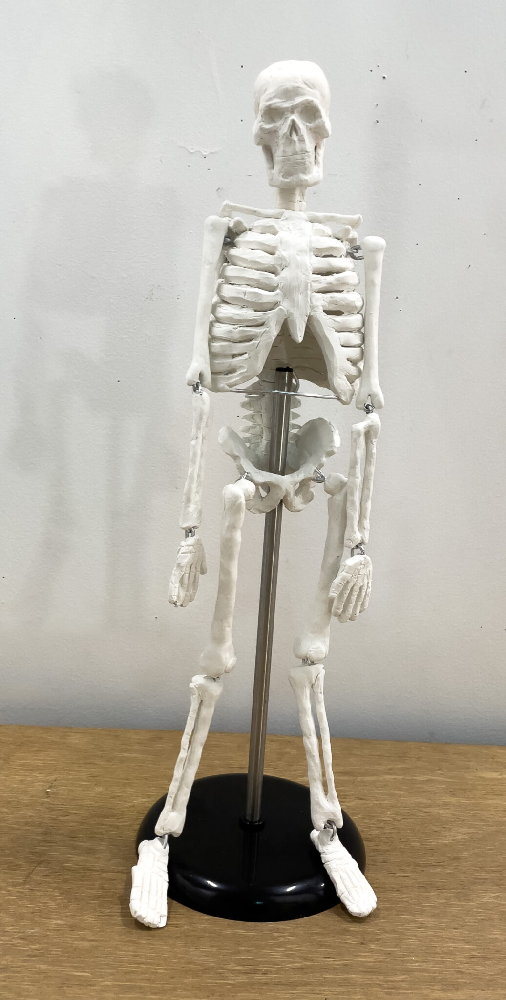 Draw and Build a Human Skeleton - The National Centre For Drawing