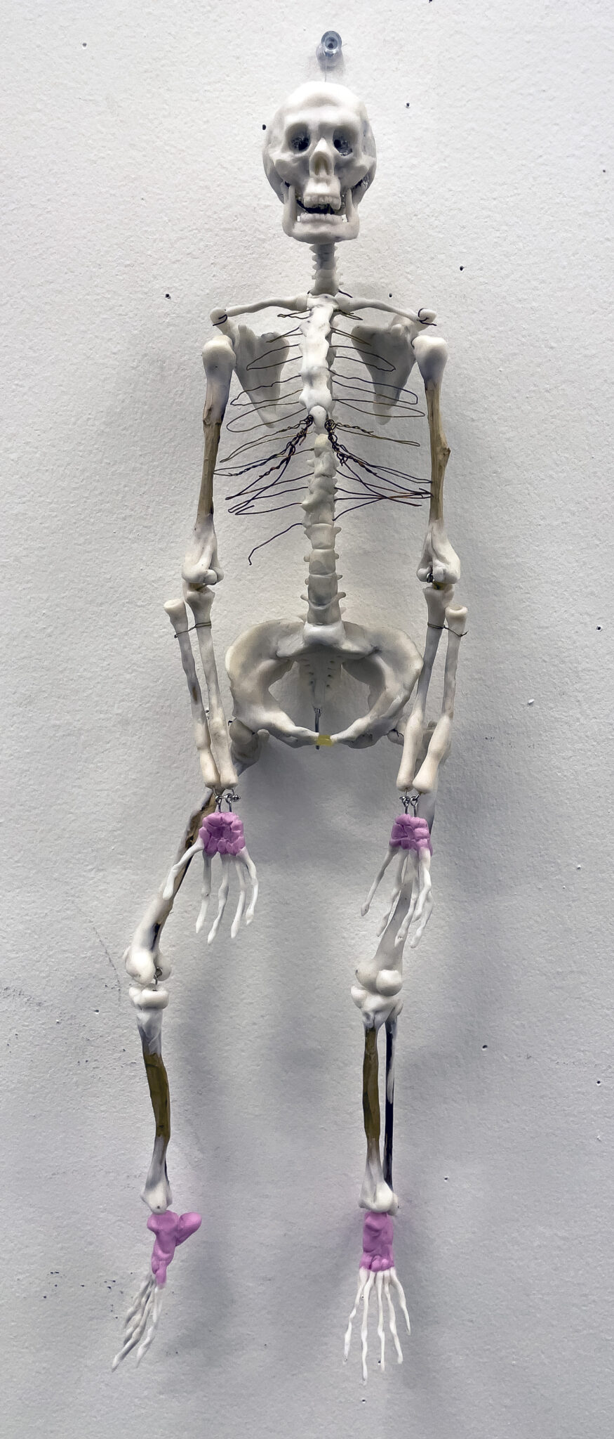 Draw and Build a Human Skeleton - The National Centre For Drawing